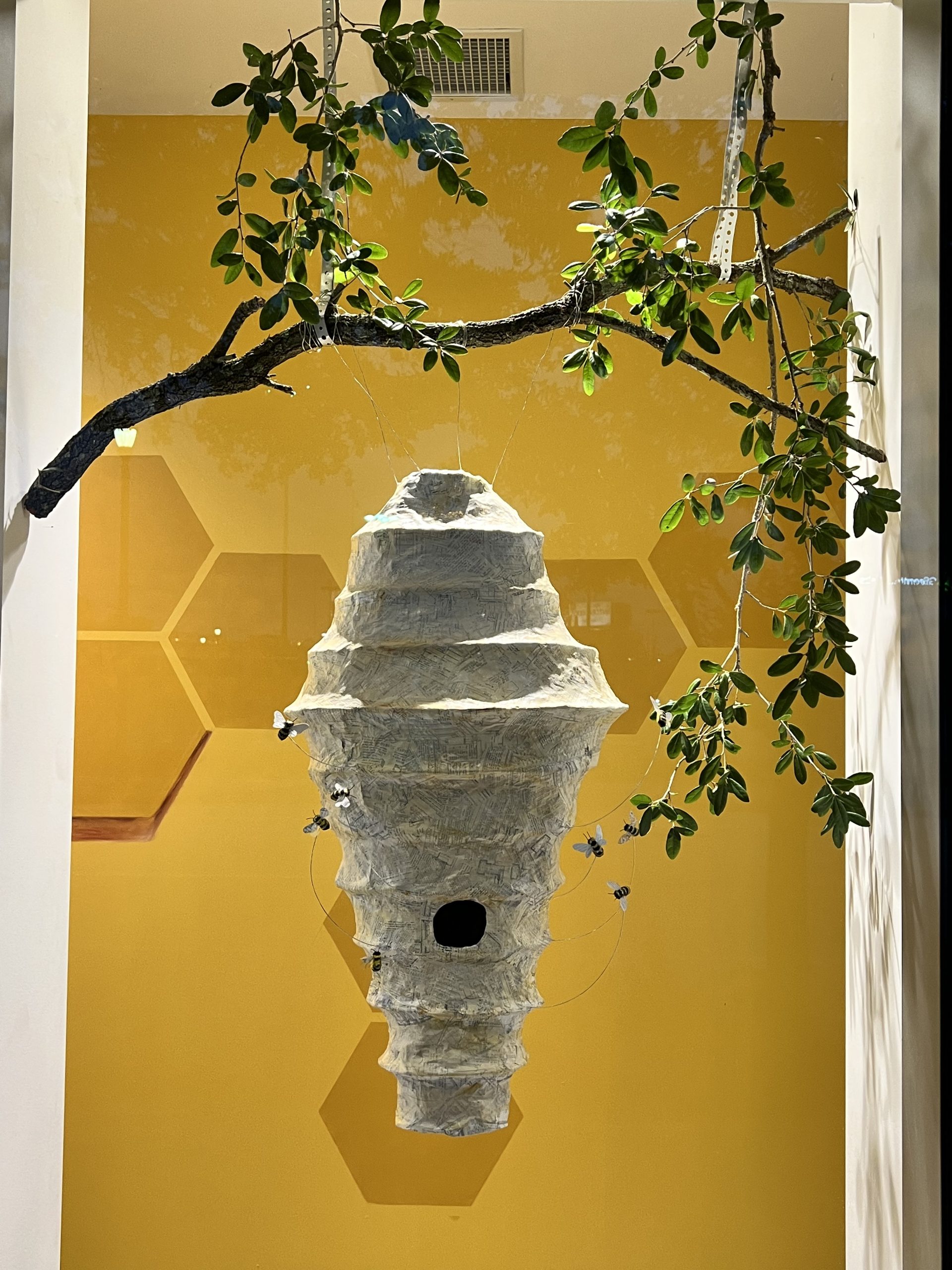 The Collective Hive – Art Valet